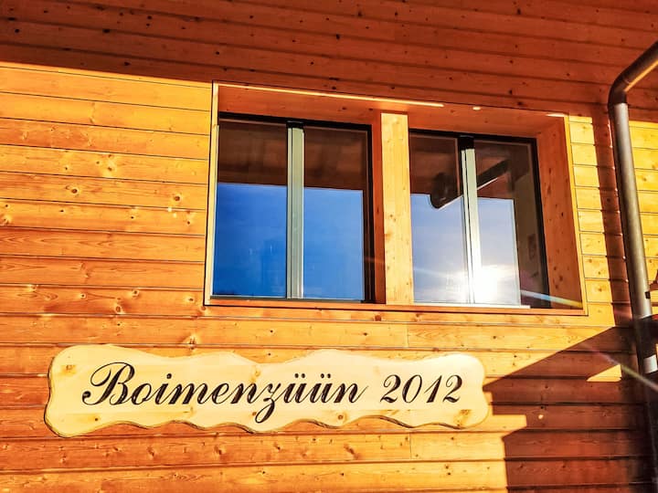Boimenzüün 2 Bett Wohnung By Interhome - Grindelwald