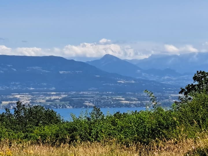 À Lombre Des ÉPicéas - Mijoux