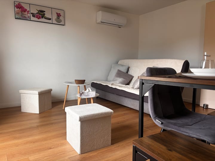 45m² Centre-ville, Parking, Wifi Et Chambre Séparé - Bédarieux