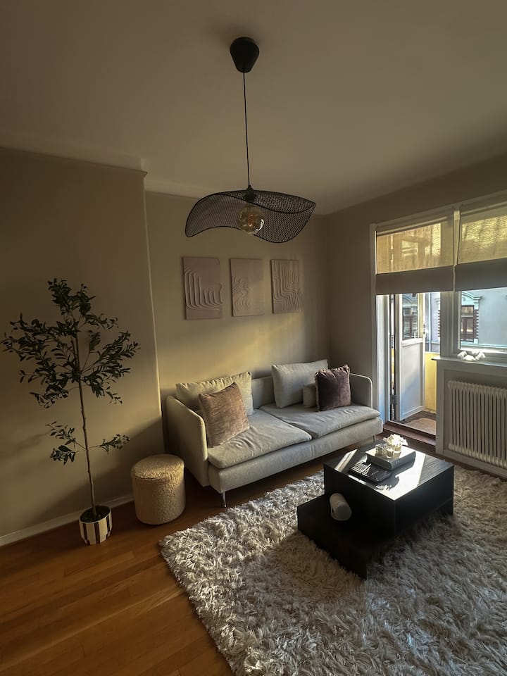 Koselig Leilighet Midt På Majorstuen - Oslo