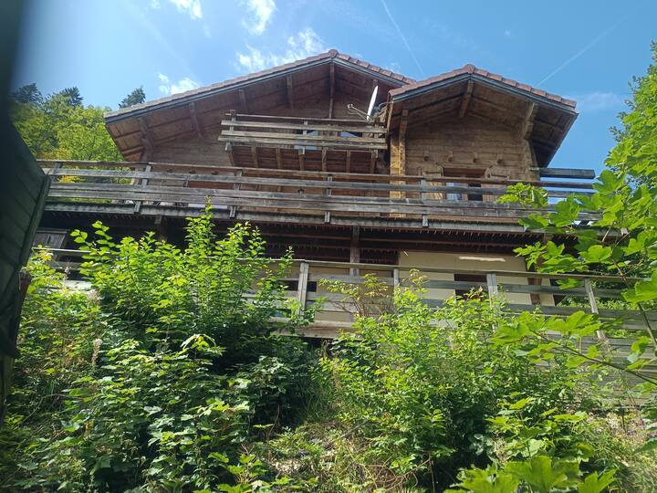 Location Col De La Faucille - Mijoux