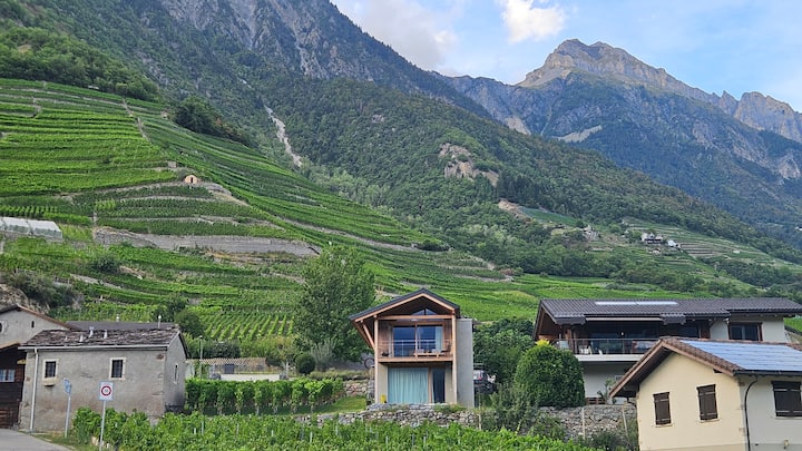 Petite Maison D'architecte Au Cœur Des Vignes - Martigny