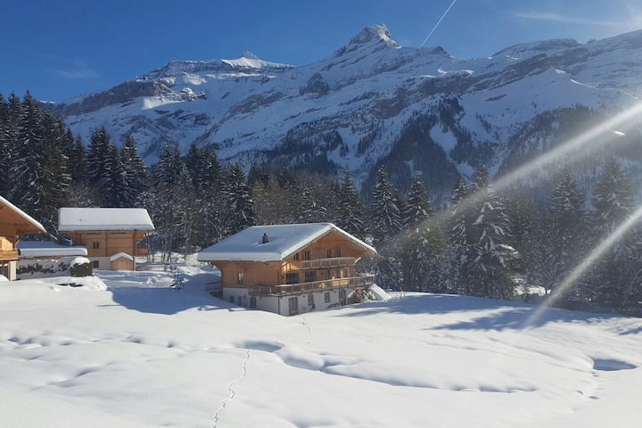 Luxury Apartment - Les Diablerets/villars Ski Area - Les Diablerets