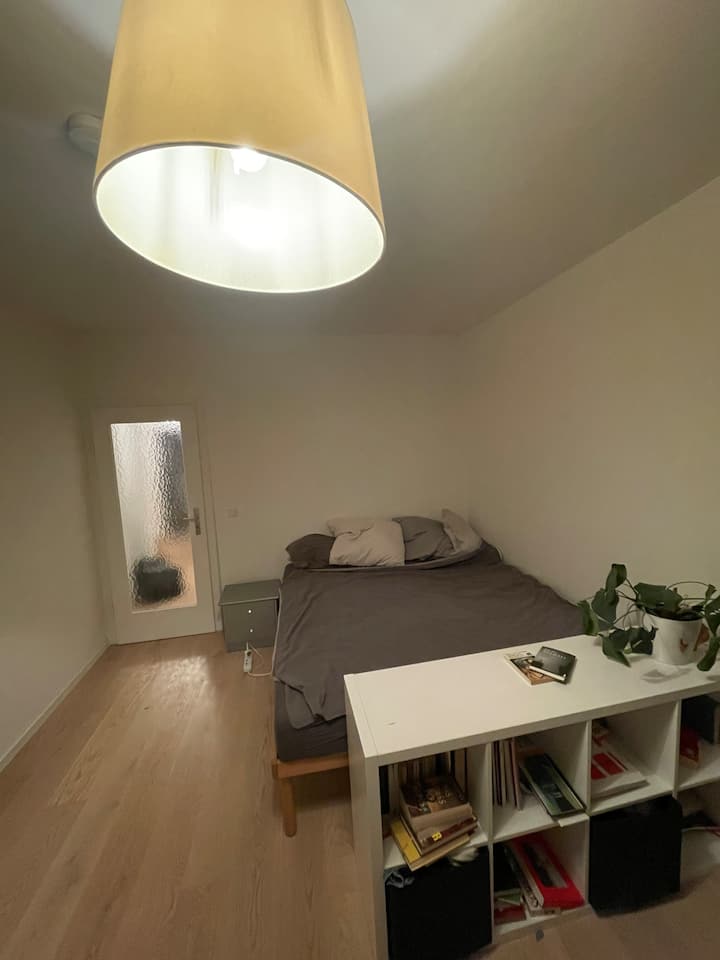 Central Appartmant - München