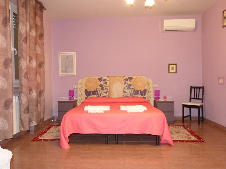 Intero Appartamento Elisir B&b - Pisa