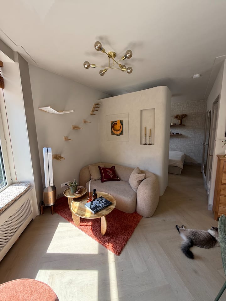Mooi Appartementje Midden In De Pijp! - Amsterdam