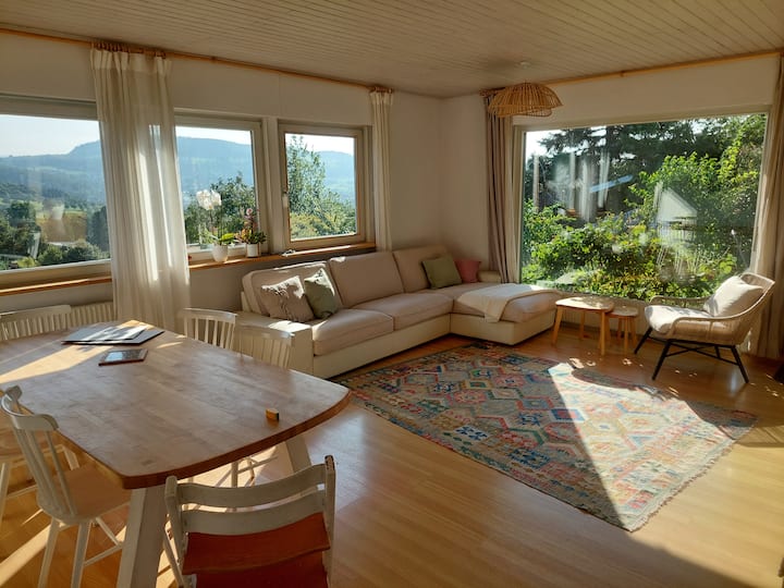 Helle Wohnung Mit Spektakulärem Blick - Canton de Soleure