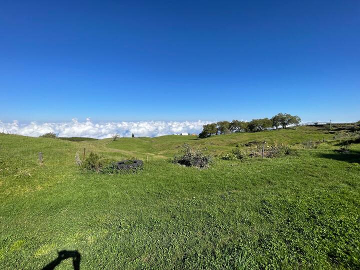 Chalet Payet - 12 Pers - St Leu - La Réunion