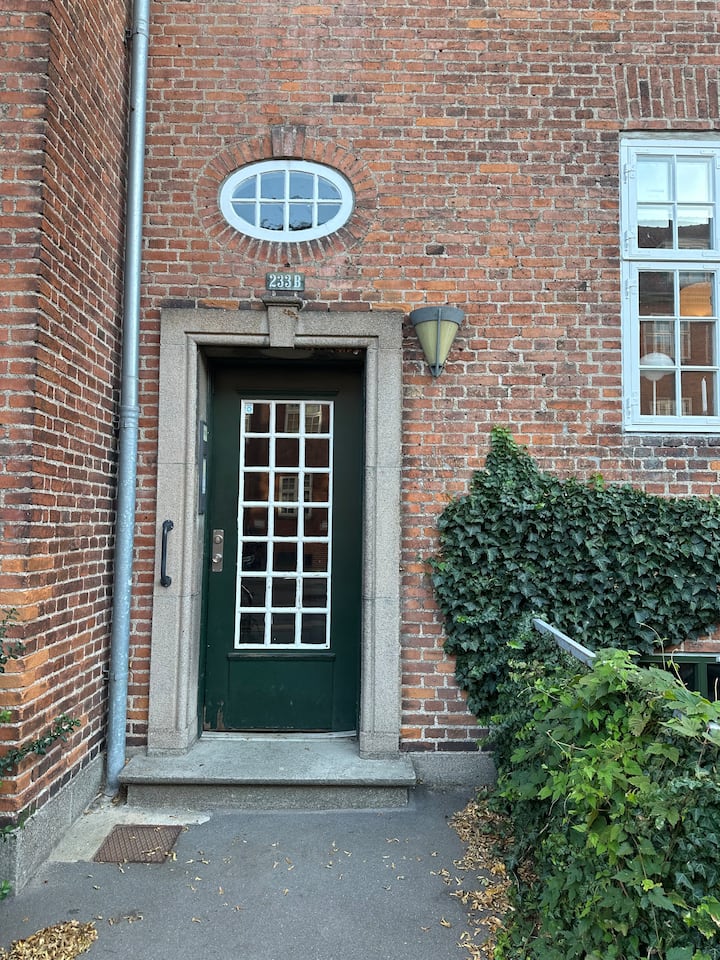 Ideelt Til Børnefamilien På Opdagelse I København - Copenhague