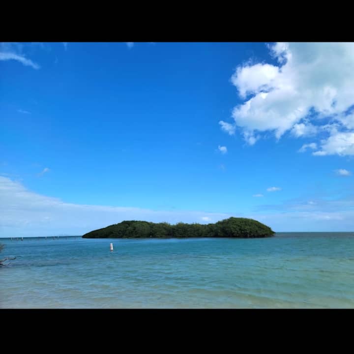 Comfortable Studio In Cutler Bay - 팔메토 베이