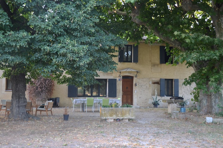 Mas Provençal Entouré D'oliviers - Graveson