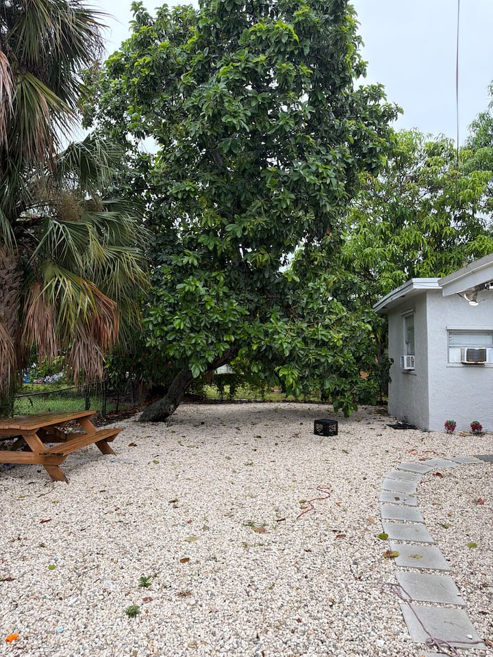 Avocado Island - Dania Beach, FL