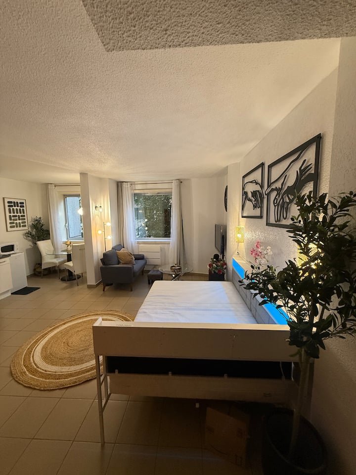 Grand Studio Cosy - Annemasse - Proche Genève - Annemasse