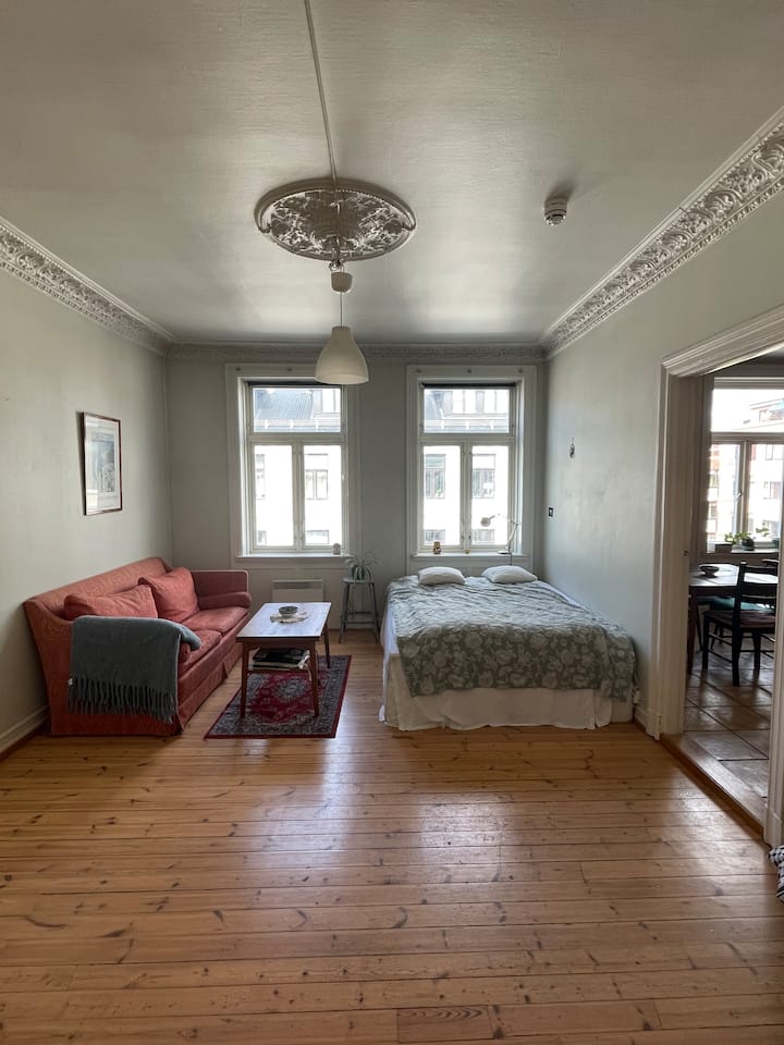 Koselig 1 Roms Leilighet - Oslo