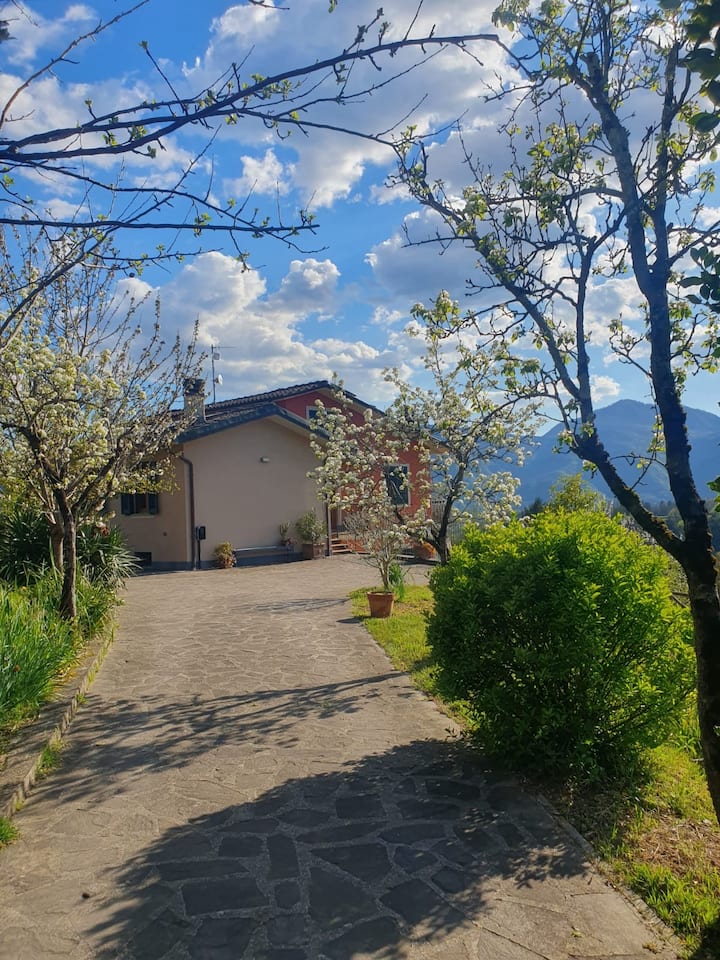 The Echo Of Barga - Pievepelago