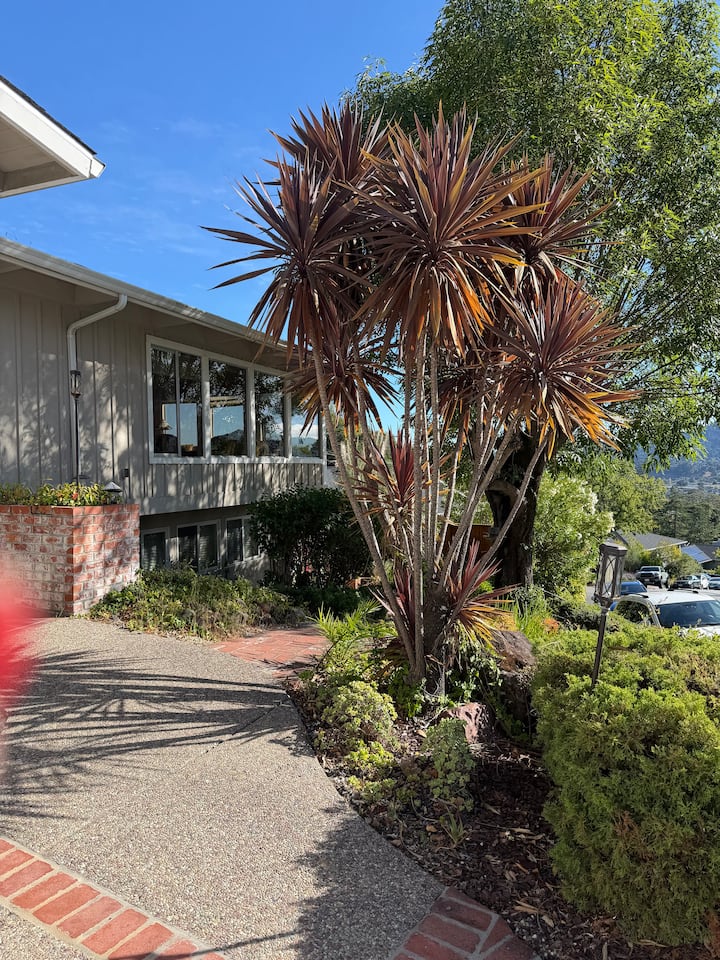 An Eagle's Nest Of A Home - Panoramic Views & Pool - Mill Valley, CA