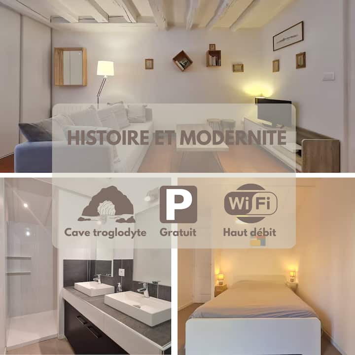 La Maison Du Chapelain•centre Ville Calme•2 Cours - Saumur