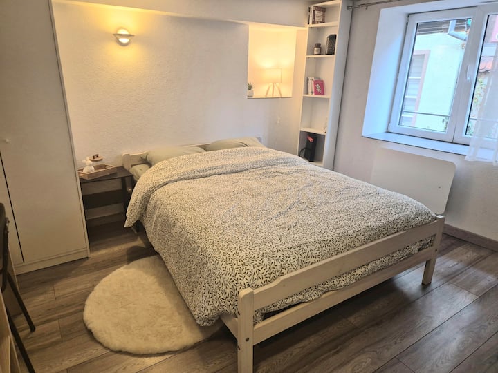 Studio Confort Au Centre-ville - Colmar