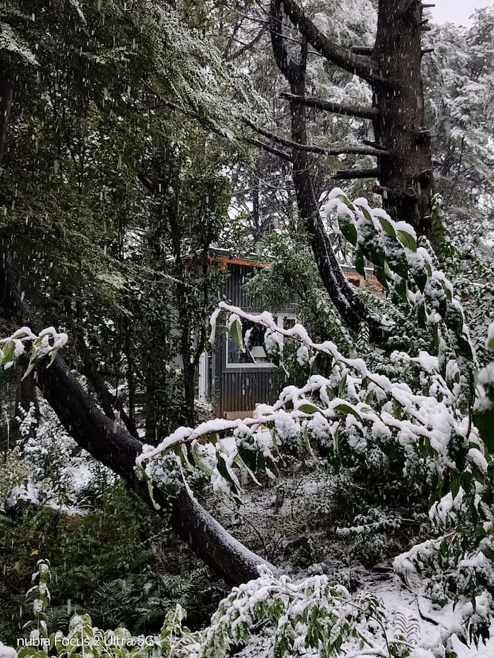 Todo El Confort En El Bosque. Viví La Montaña - San Carlos de Bariloche