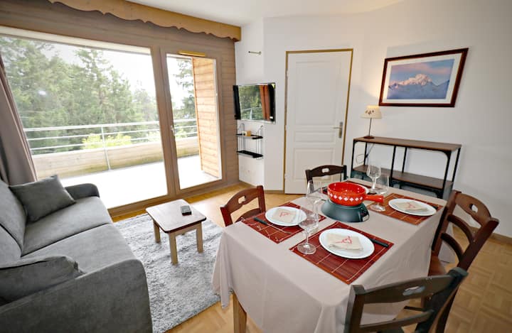 En C14~charmant Appartement Aux Pieds Des Pistes - Chamrousse