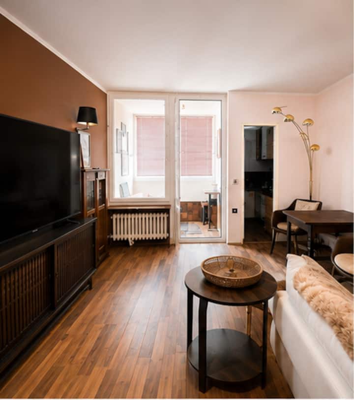 Oktoberfest & City-trip| Gemütliche Wohnung Für 4 - Munique