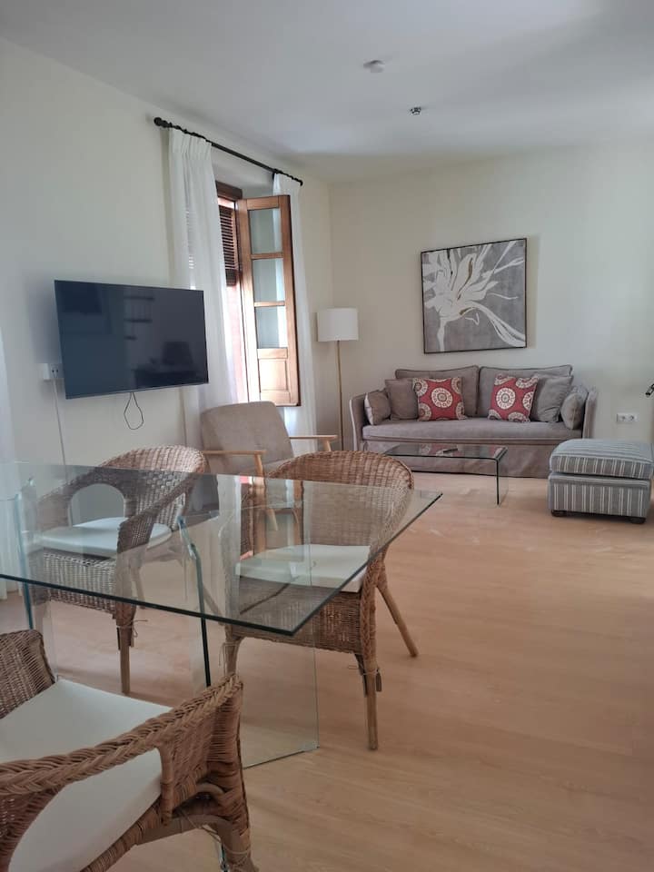Buenaventura Duplex Terrace - Siviglia