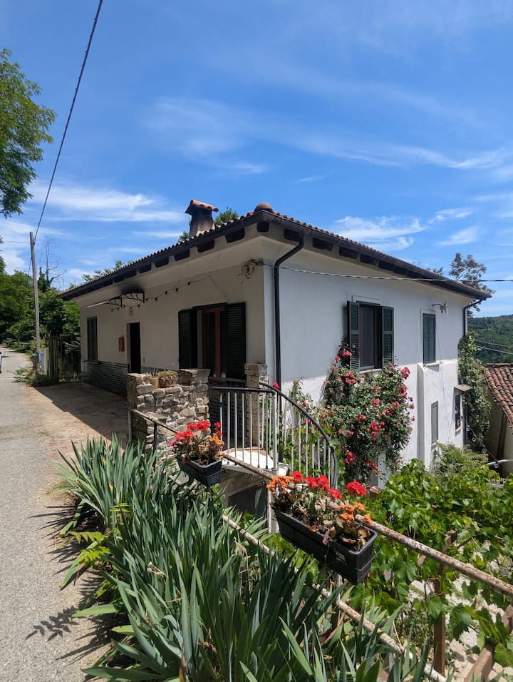 Villa Topini Del Bosco - Merana