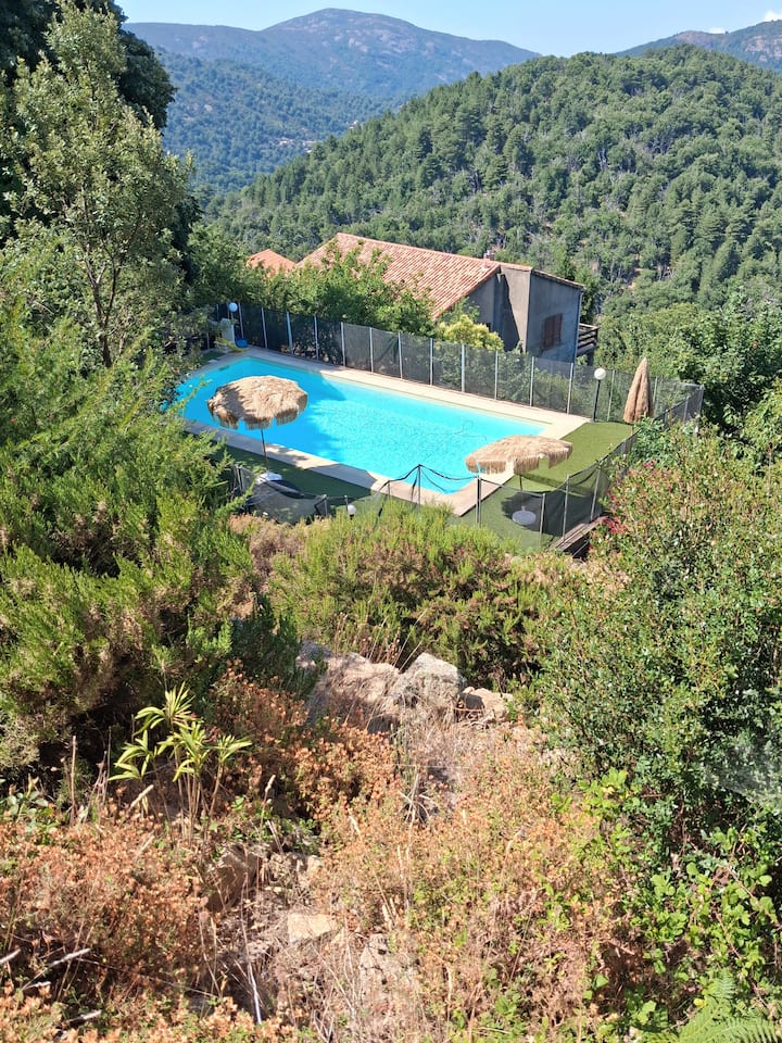 Chalets De Cemma Evisa - Évisa