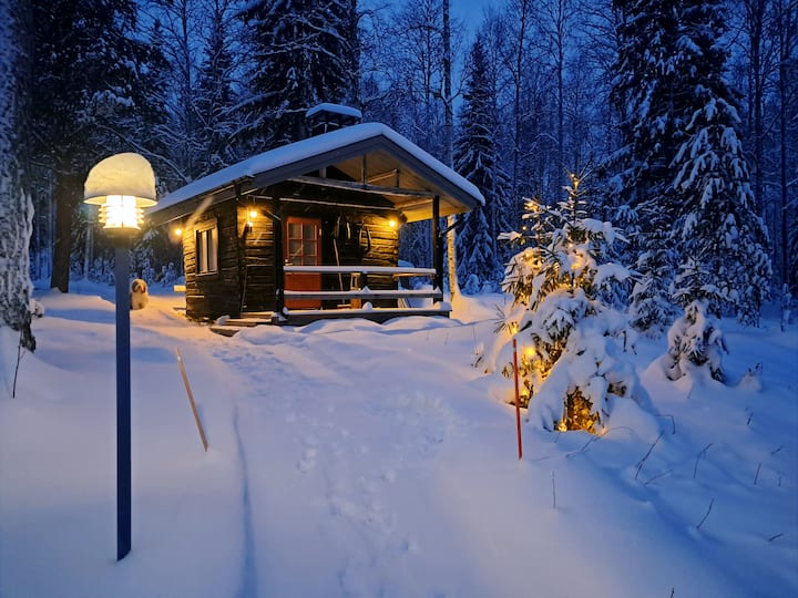 Log Cabin And Sauna By A Lake - Rovaniemi