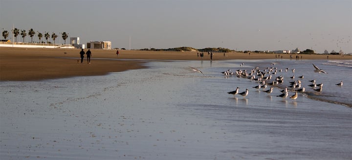 Terrazas De Cádiz, Valdelagrana - Puerto Real