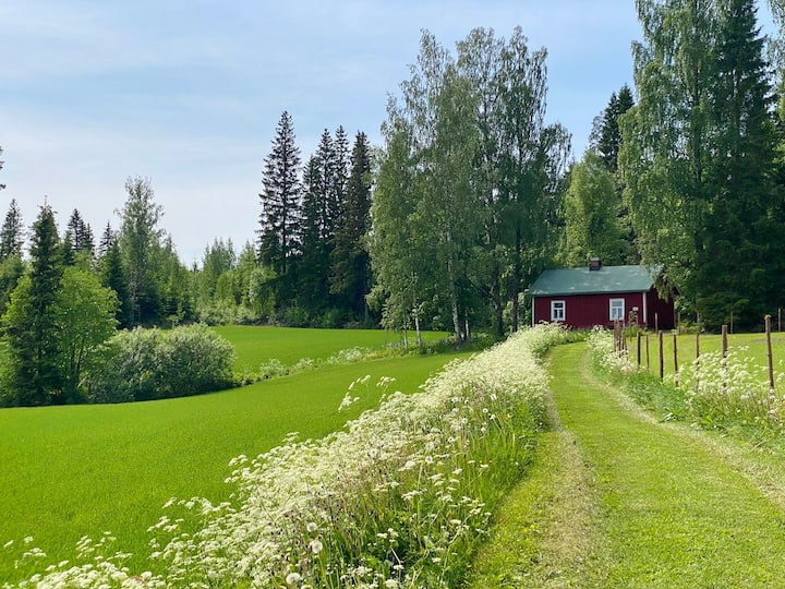 Mummonmökki Ahomäki - Virrat