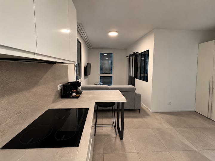 Modern Apartment In Lavaux, Gym And Coworking - Lausanne