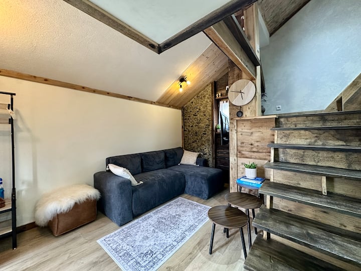 Le Petit Chalet Des Alpes - Bonneville