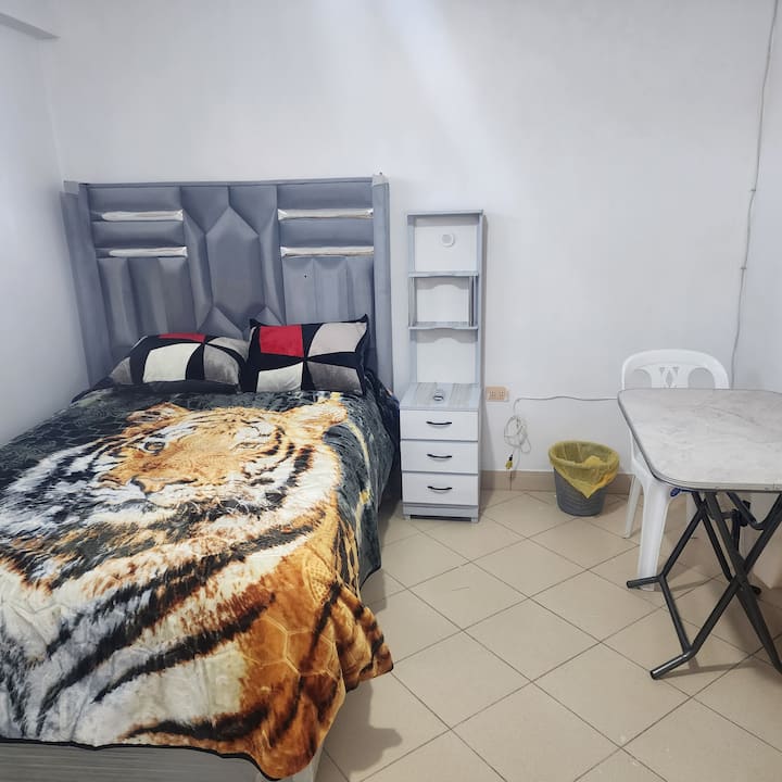 Alojamiento Departamento En Juli Zona Centrica - Puno