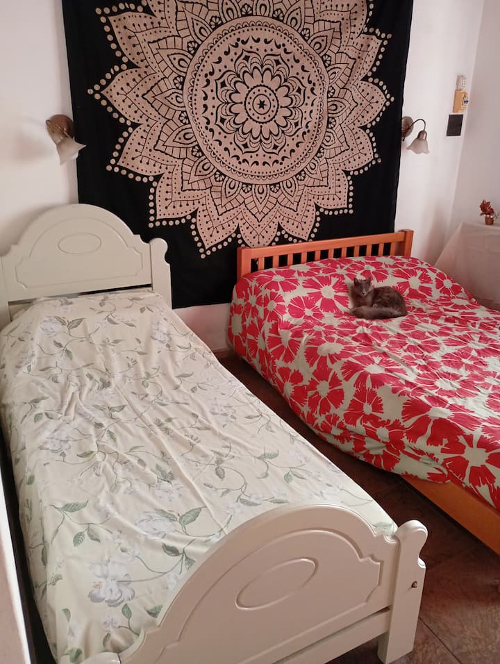 Mi Refugio - San Pedro