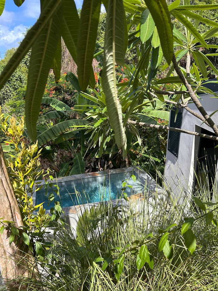 Lécrin Tropical : Vue Mer, Piscine /Douceur. - Martinique