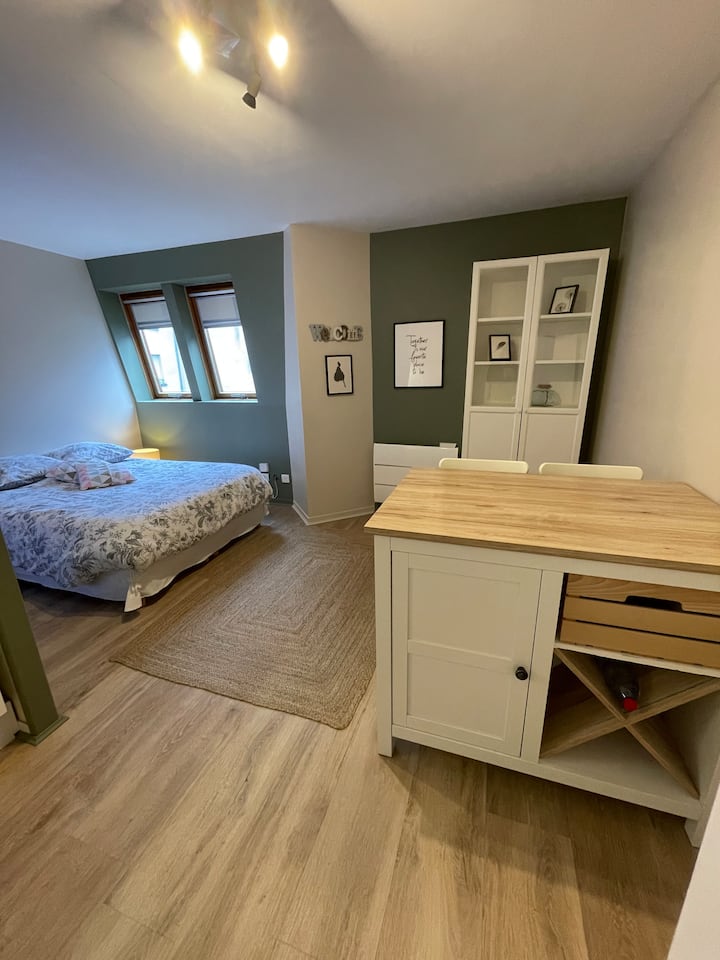Studio Calme Au Cœur Damiens - Amiens