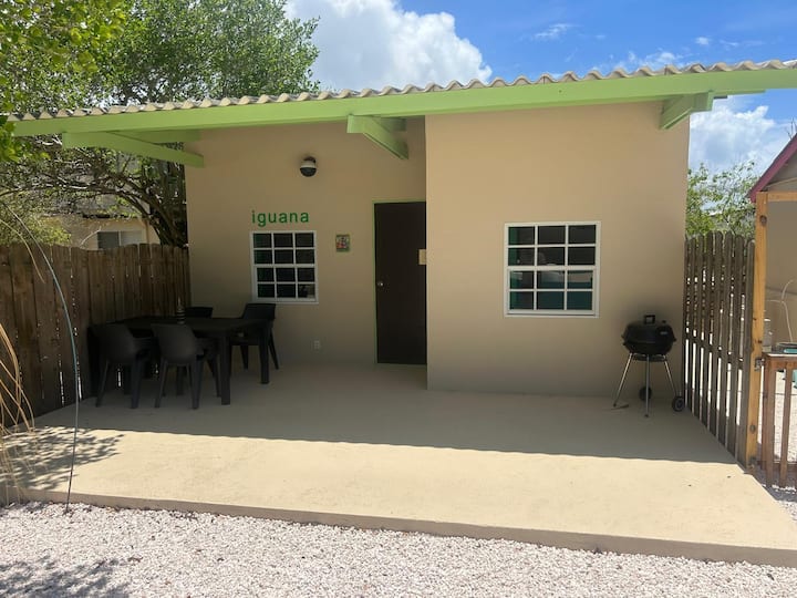 Iguana - Curaçao