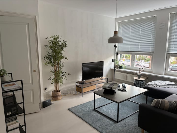 1 Bedroom Apartment With Balcony In Amsterdam. - Amsterdam