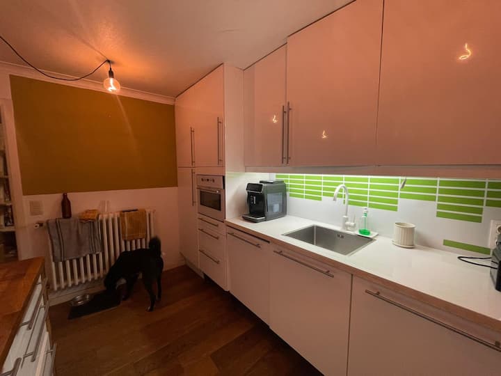 Gezellig Appartement Op Steenworp Van Grote Markt - Saint-Nicolas, Belgique