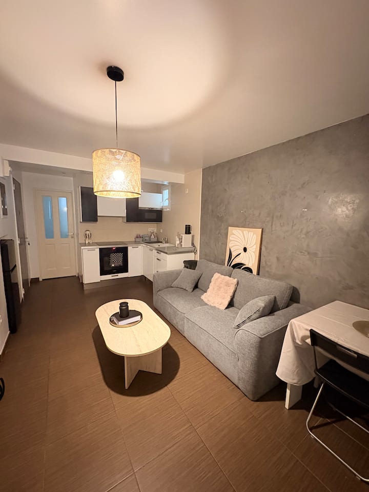 Charmant T2 à ÉPinay-sur-seine À 30 Min De Paris - Ibis Budget St Gratien - Enghien-Les-Bains