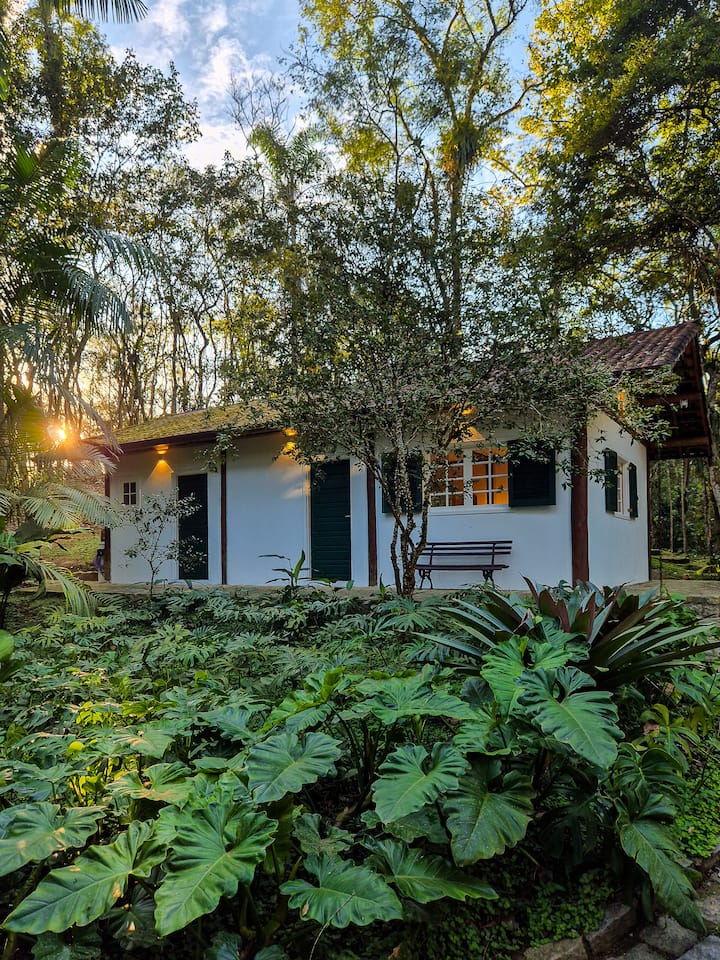 Refugio Na Mata Atlântica 2 - Gerador - Paraty - Brazil