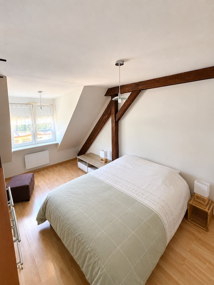 Duplex Alsacien Au Cœur Historique De Thann - Thann
