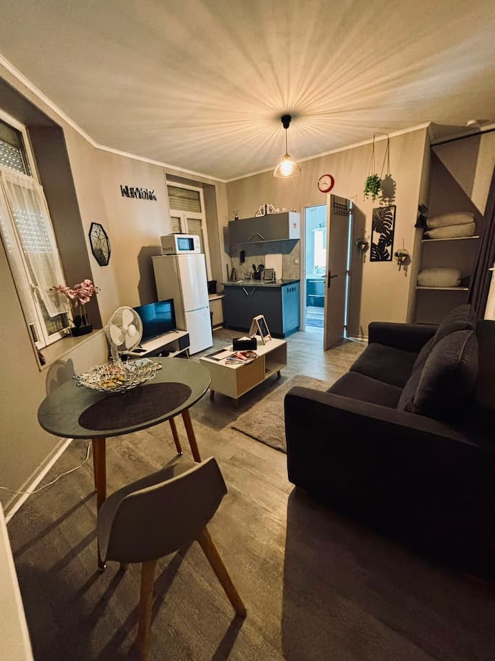 Studio: Petit Gris Mollien - Calais