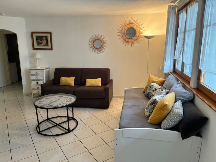 Appartement Tout Confort Au Cœur Dobernai - Obernai