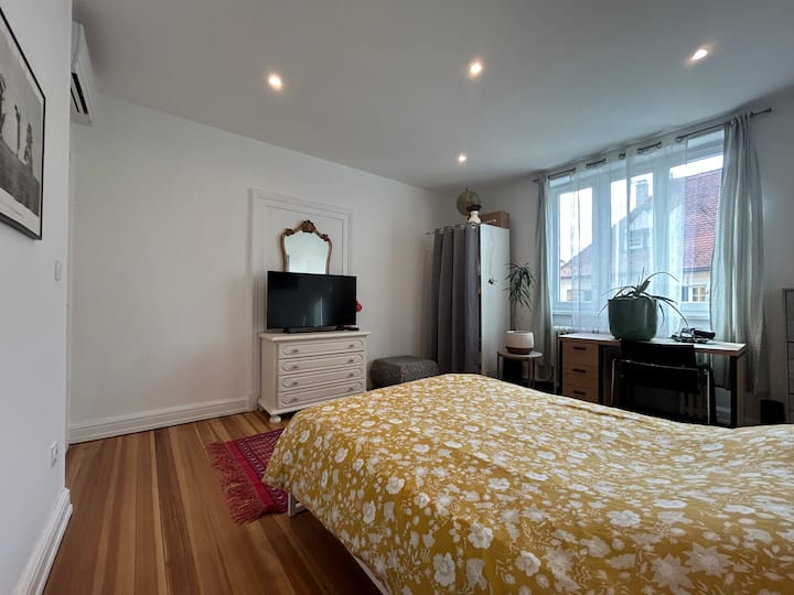 Chambre Spacieuse - Strassburg