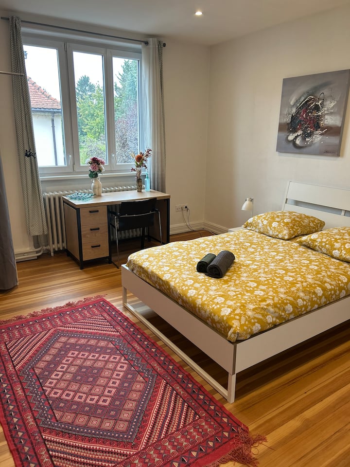 Chambre Spacieuse - Strasbourg