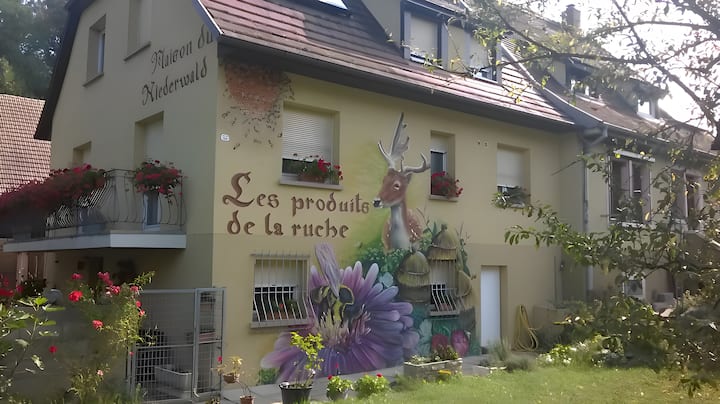 Chambre Familiale - Sélestat