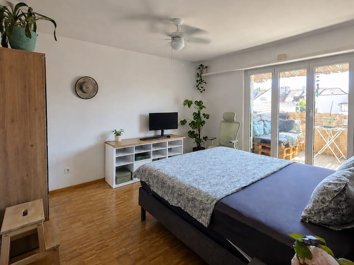 Sunny Top Floor Apartment With Terrace & Plants - Bâle