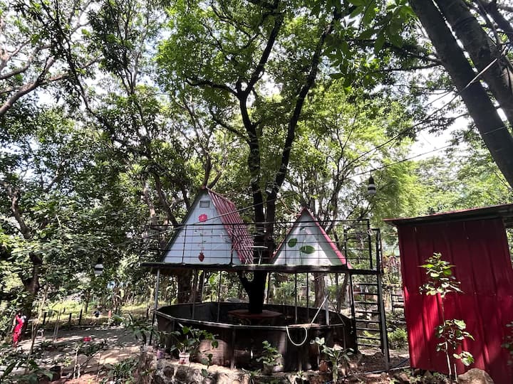 Treehouse Escape For 2 | Ainosonohub, Baras, Rizal - Baras